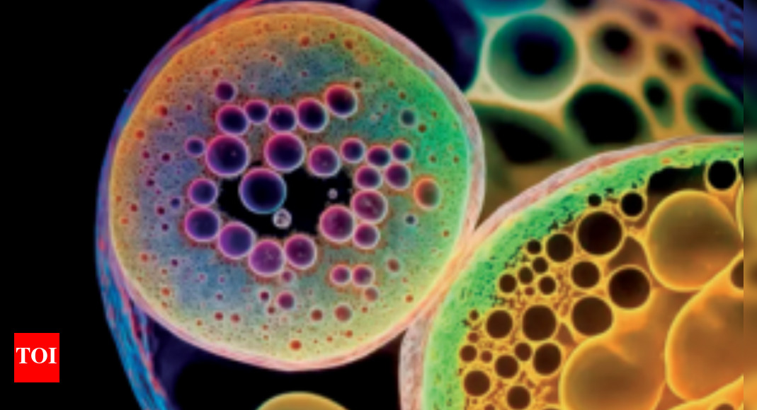 Hyd Scientist’s Research Unveils Hope: Stem Cells To Treat Brain ...