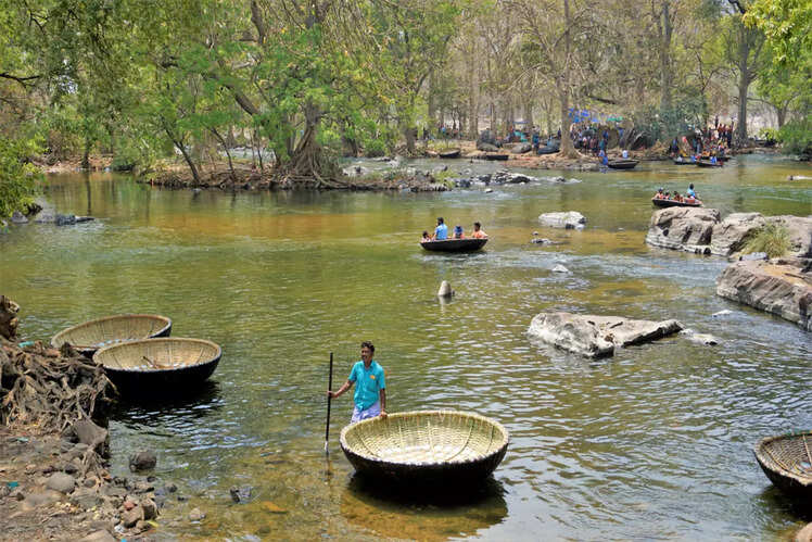 Hogenakkal Falls and its many wonderful features that you need to ...