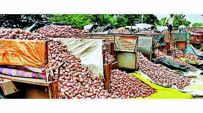 Centre Appoints Nafed & Nccf To Buy Summer Onions To Create Buffer Stock | Nashik News - Times ...