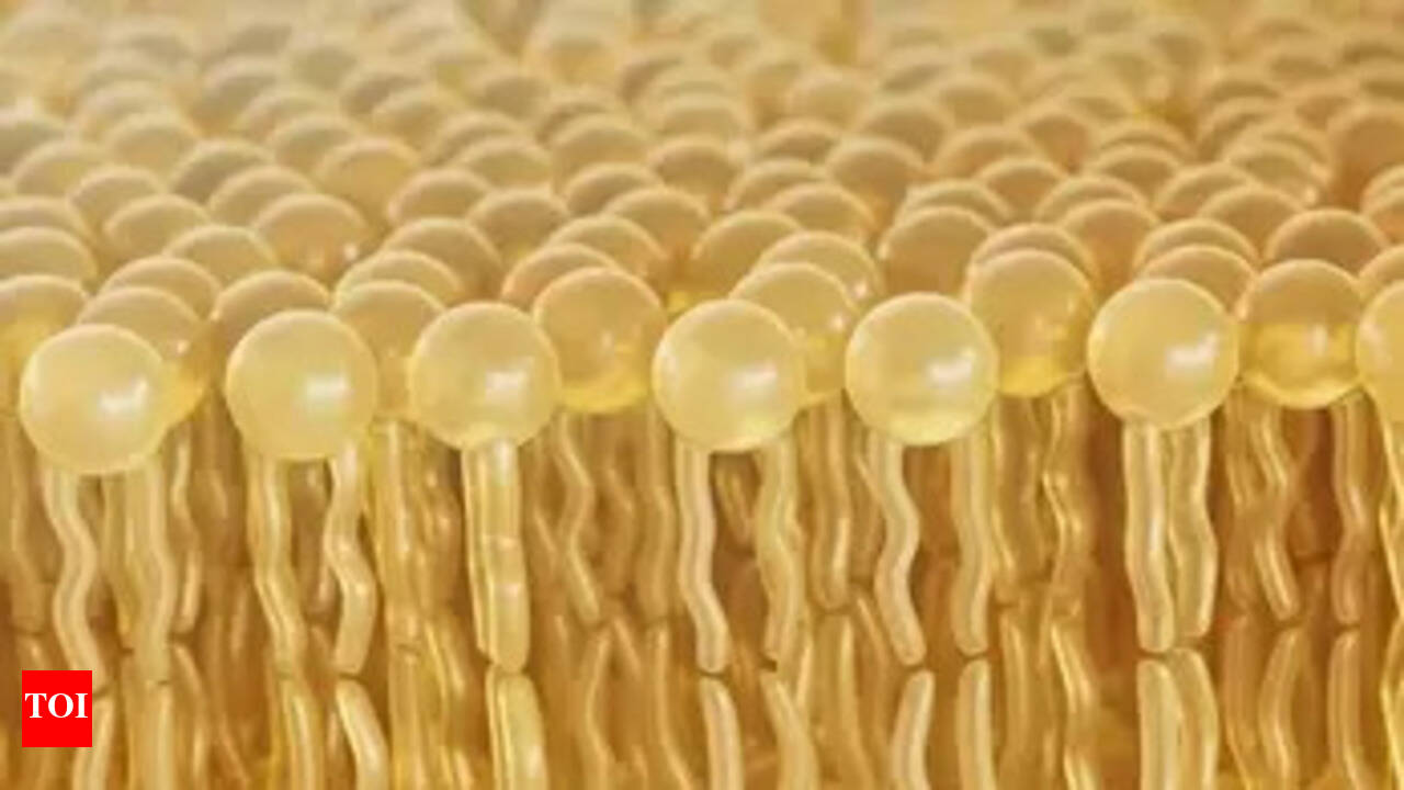 Basic Building Blocks Of Lipids Lipids (article) | Macromolecules