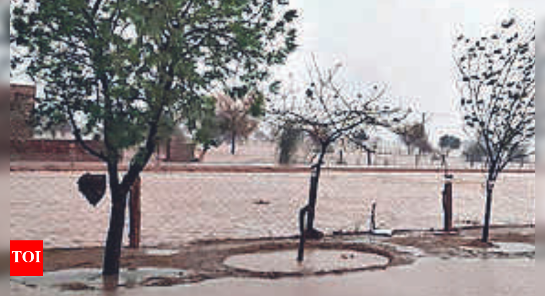Storm, heavy rain in Jaisalmer, Barmer | Jaipur News - Times of India