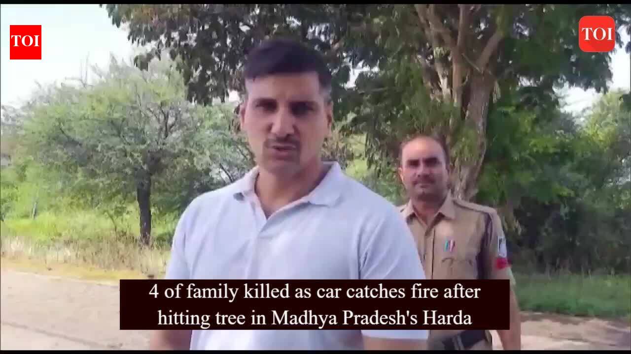 madhya pradesh: 4 of family killed as car catches fire after hitting ...