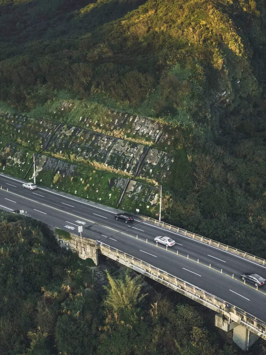 Kaziranga Elevated Corridor: 10 Key Facts To Know | Times of India