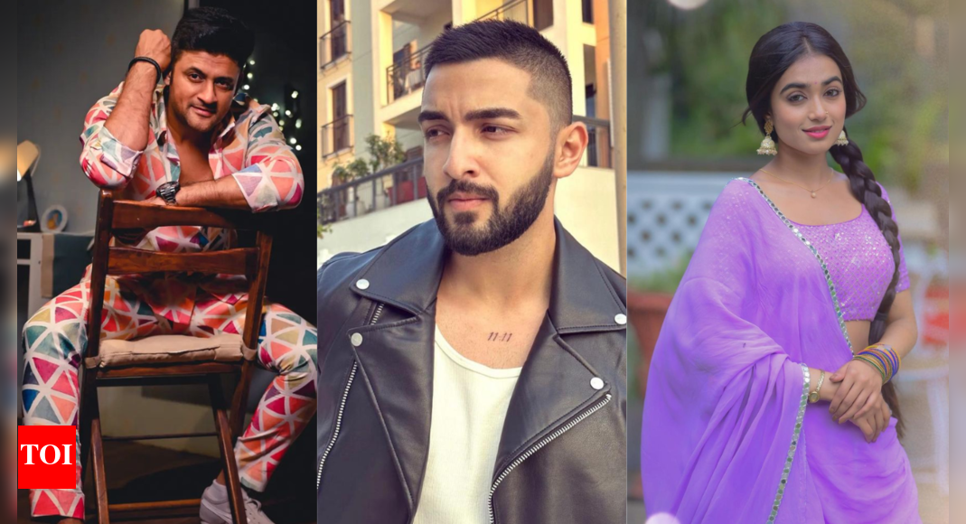 BhagyaLakshmi's Rohit Suchanti, Aparajita's Manav Gohil and Radha Mohan's Neeharika Roy share ...