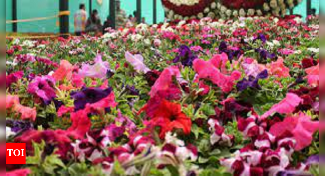 Semmozhi Poonga gets a facelift for flower show | Chennai News - Times ...