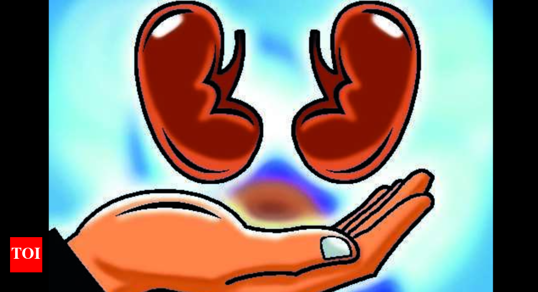 Donated organs of brain dead man save 3 lives | Pune News - Times of India