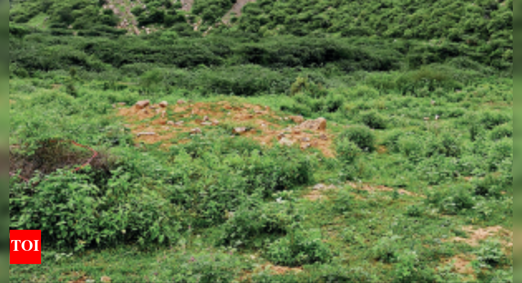 Soon, 60 Waterbodies To Fortify Aravali Green Wall, 15 In City ...
