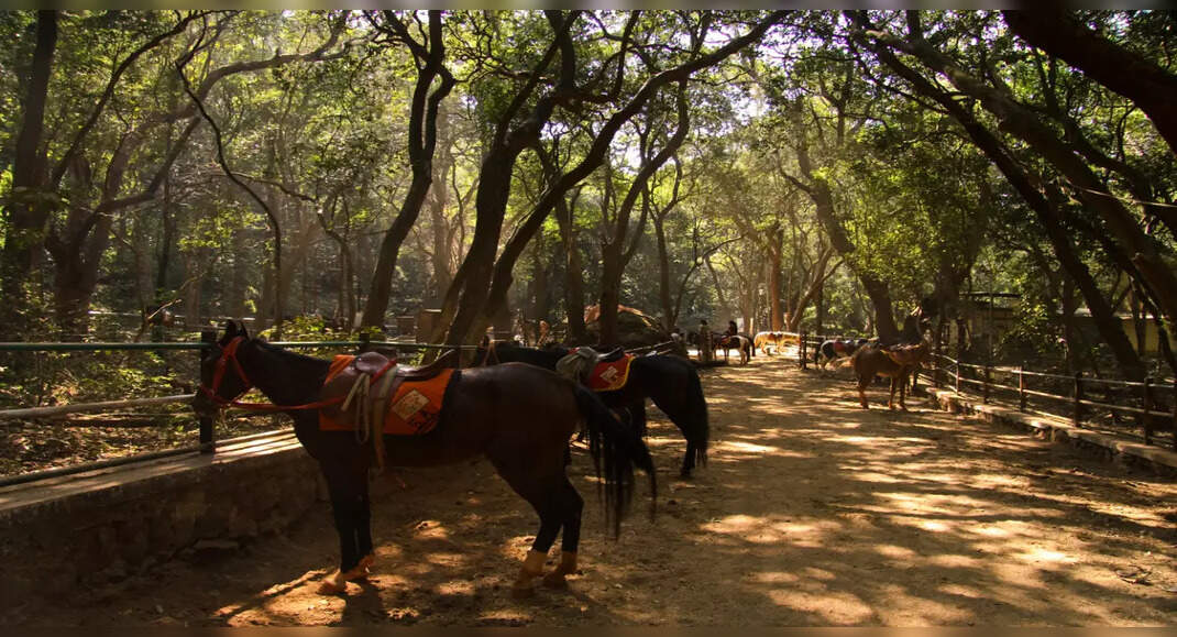 Time stands still in Matheran, the quaint hill station in the Western ...