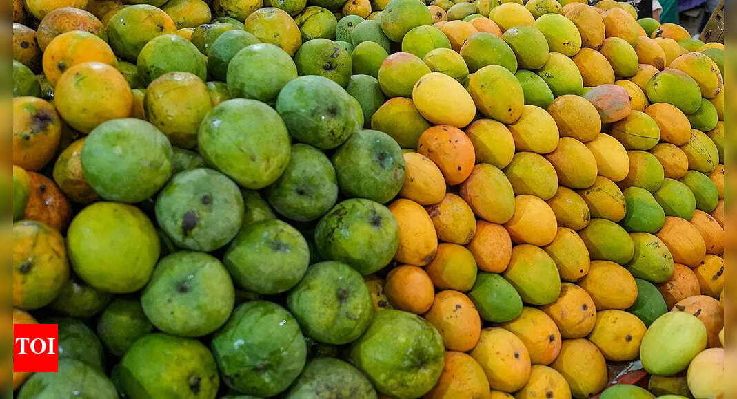 Traders in Mumbai express interest in exporting mango varieties from UP ...