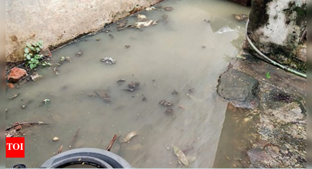 ‘water+’ Tag In Bag, Bmc Loses Interest In Sewage This Year | Bhopal ...