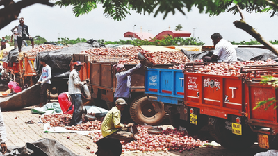 Onion Procurement By Nafed & Nccf Is On: Bharati Pawar | Nashik News - Times of India