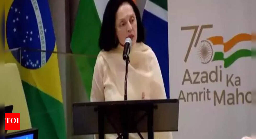 Council: Current UN security council structure does not align with ...