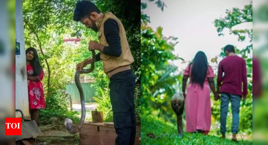 Snake plays the matchmaker in this couple’s love story - The Times of India