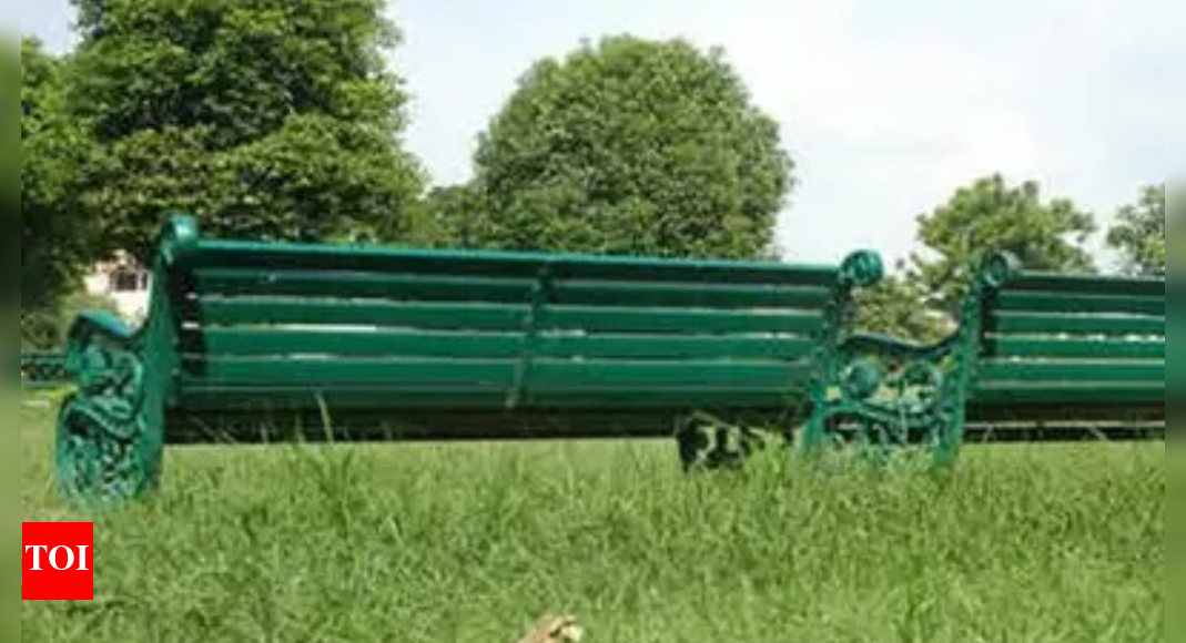 Govt looks to fast-track work on eco-park | Delhi News - Times of India