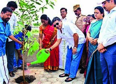 Madurai: Ptr Plants Saplings Near Vaigai Bank Under Greening Programme | Madurai News - Times of ...