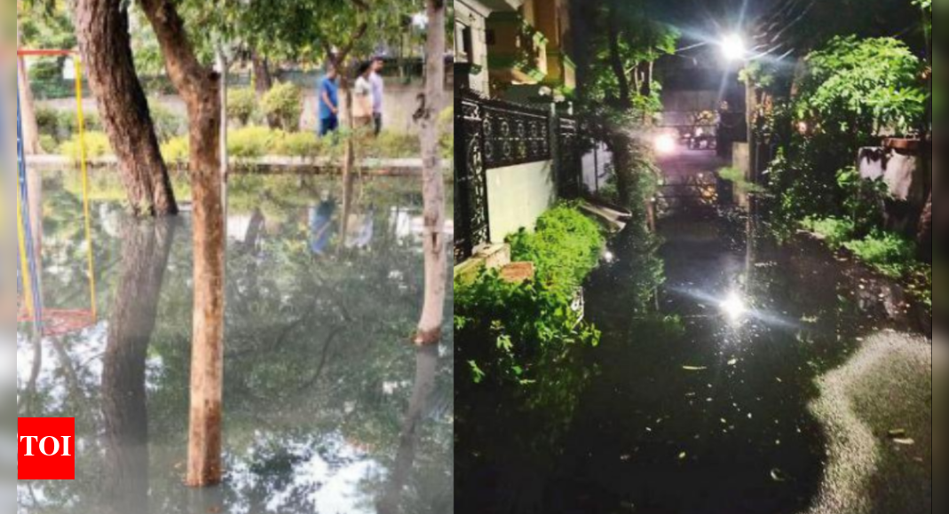 Toxic Stew: Choked Drain Leaves Half Of Sec 19 Wading In Sewage | Noida ...