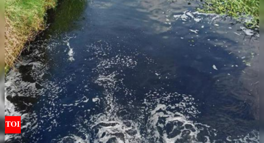 Red there, black here, sewage turns Hindon into a cesspool | Ghaziabad ...