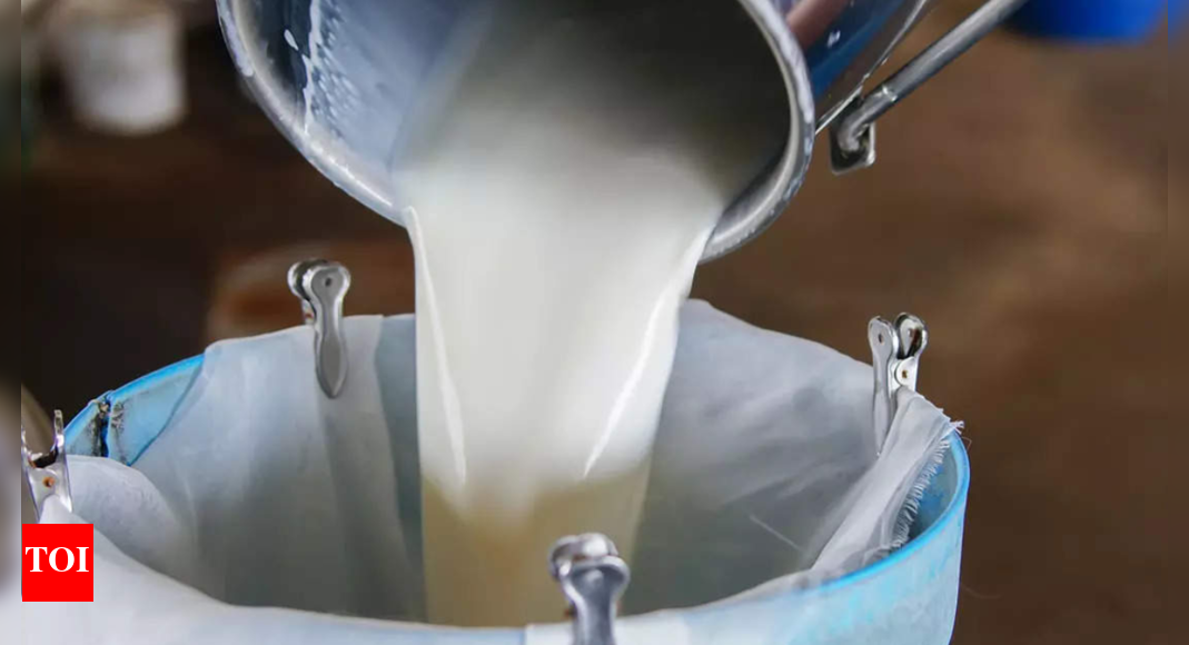 Noida 5 Of A Gang In Police Net For Selling Counterfeit Dairy Products