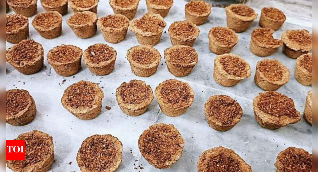 Hawan cups made of cow dung & herbs catch devotees' fancy | Allahabad ...