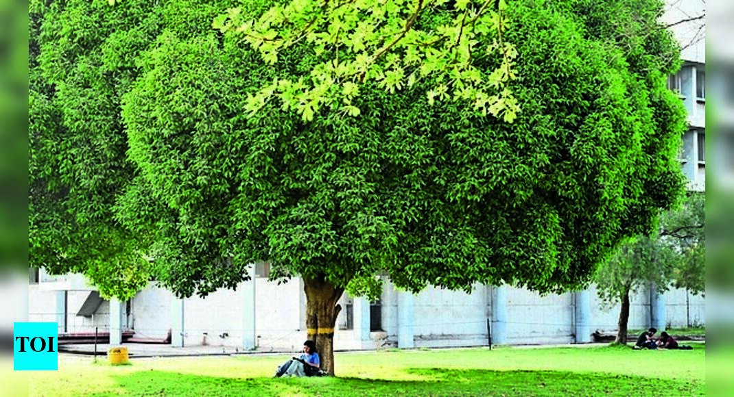 After Pleasant Interlude, City Residents To Feel The Heat Again ...