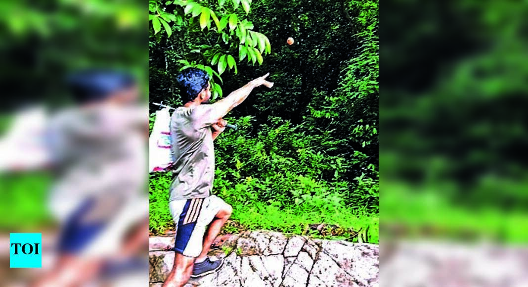 Vazhachal Students Toss seed Balls To Solve Deforestation Crisis