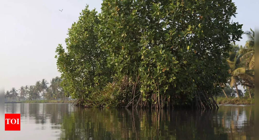 World Environment Day: World Environment Day: New schemes launched to ...