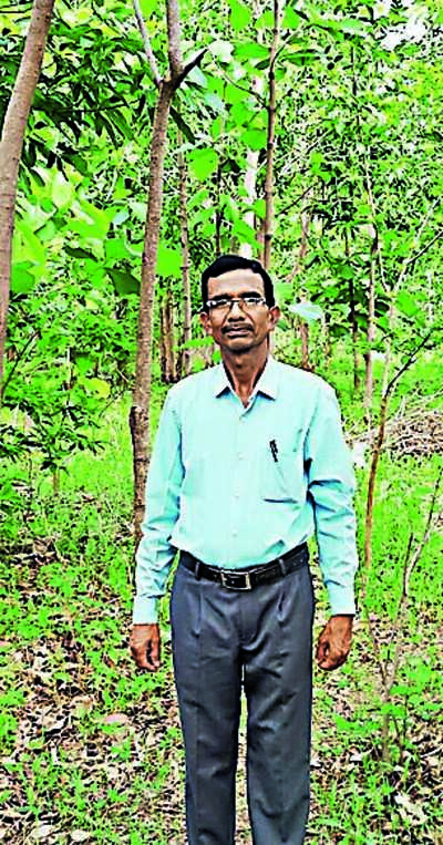 Bokaro: Bokaro Man Creates Forest On 2-acre Land In Memory Of Dad ...