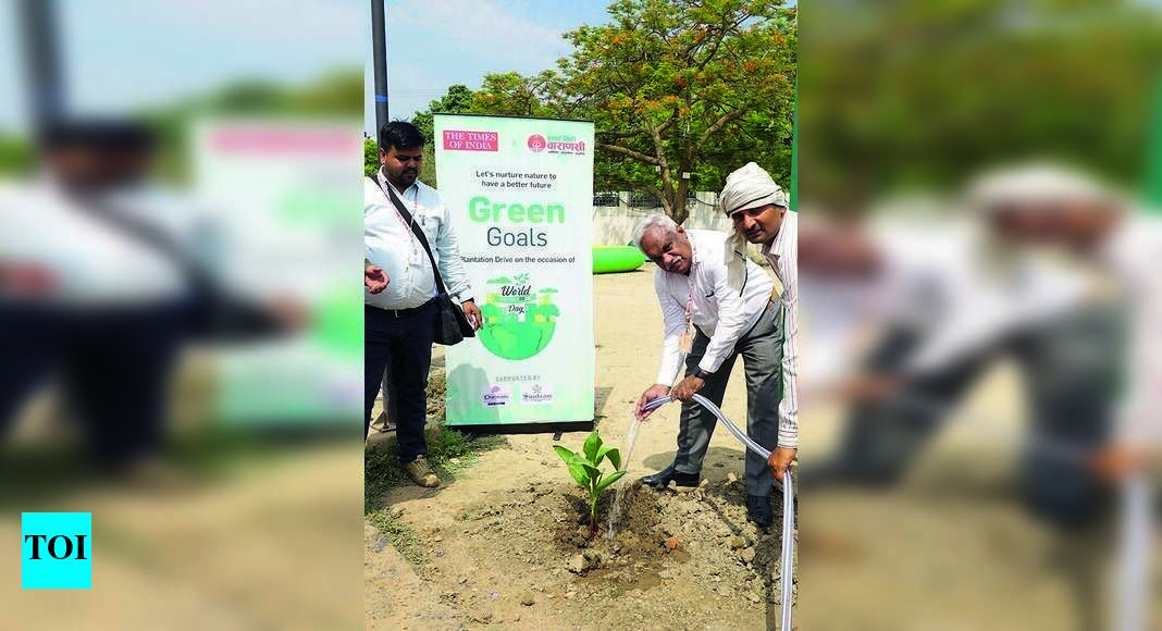 Plantation Drives, Awareness Rallies Mark Environment Day | Varanasi ...