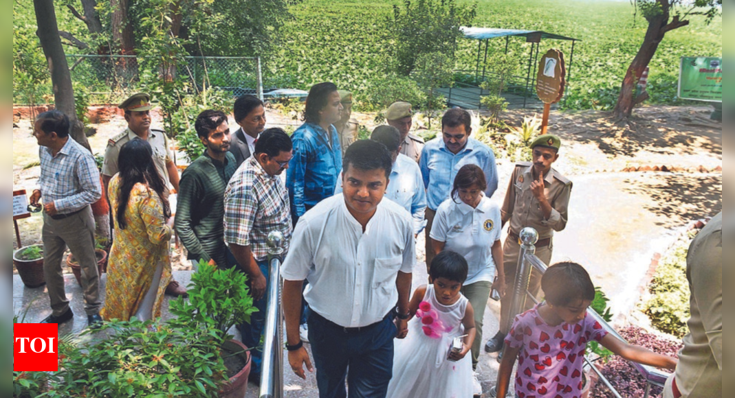 Hyacinth In Okhla Waterbodies Keeps Birds Away | Noida News - Times of ...