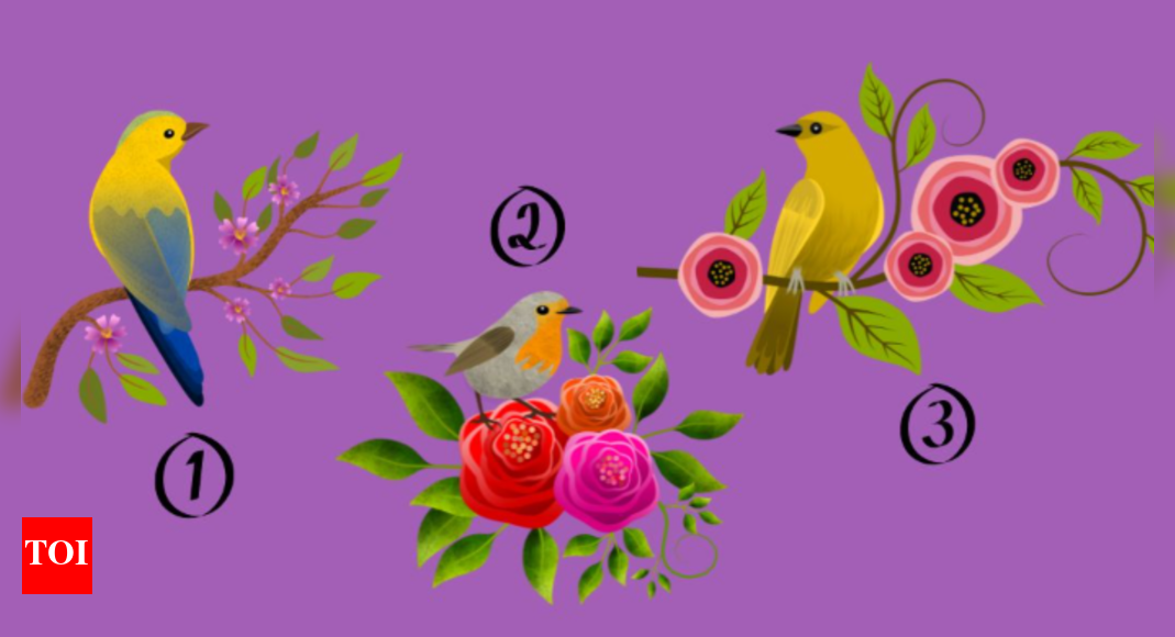 Personality test: The bird you choose reveals how you deal with ...