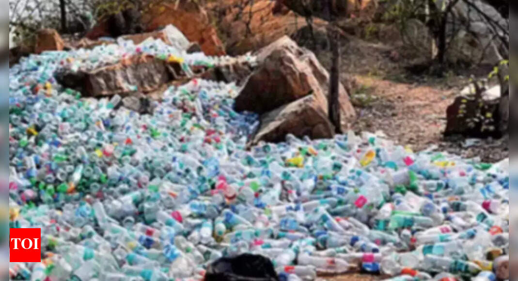 Plastic bans created awareness but stricter enforcement needed | India ...