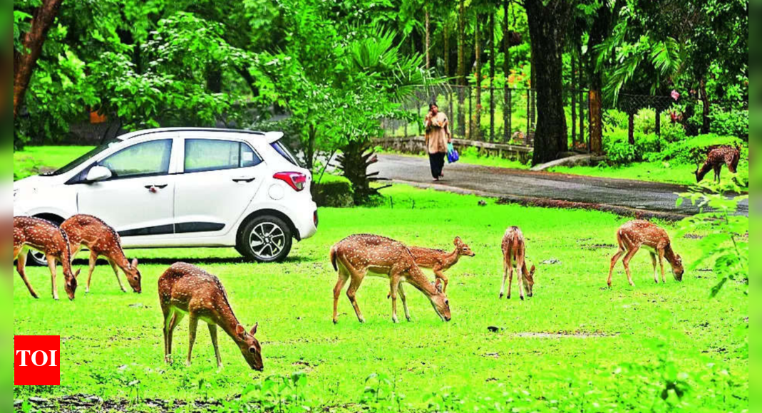 How all citizens can participate in conservation of state's environment ...