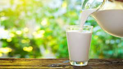 NDRI develops test for milk adulteration | Chandigarh News - Times of India