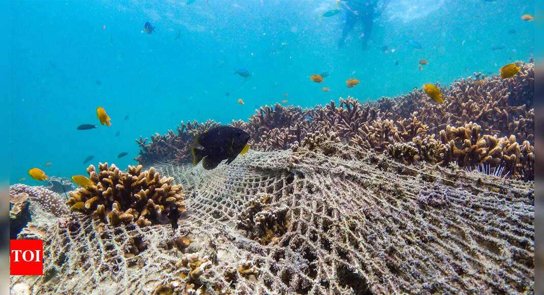 The 'ghost' that's choking our oceans | India News - Times of India