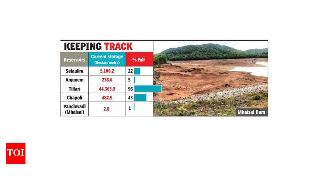 Water stock enough to last till June-end: WRD | Goa News - Times of India