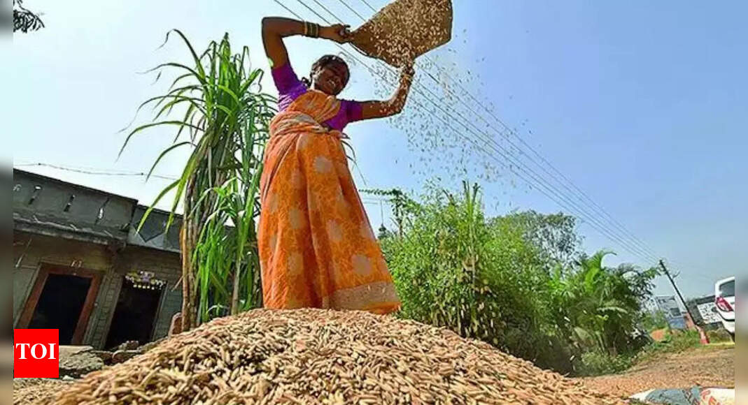 MSP for kharif crops 2023-24: Government raises MSP for kharif crops, paddy’s hiked by 7% ...