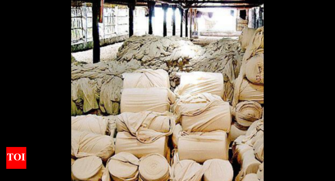 Cotton: Low prices hit cotton inflow | Ahmedabad News - Times of India
