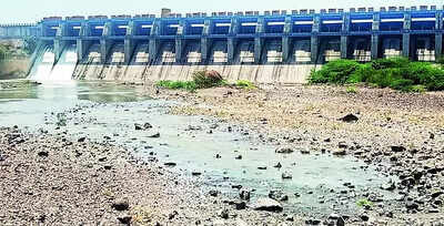 Dhule: Dhule Collector Issues Order To Release Water From Akkalpada Dam ...