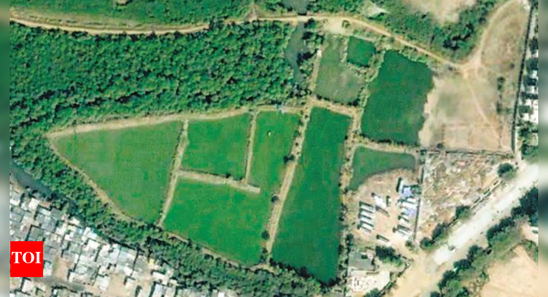TCP reconverts 16,000 sqm fields, green cover for devpt | Goa News ...