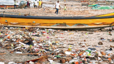 Au Study Finds Plastic Debris In All Parts Of Fish Species ...