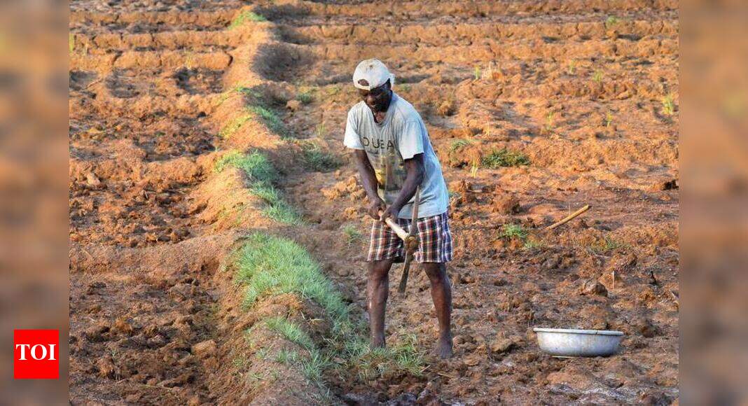 In Goa, Climate Change Is Now Real | Goa News - Times of India