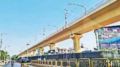 Panvel Third In State For Green Initiative | Navi Mumbai News - Times ...