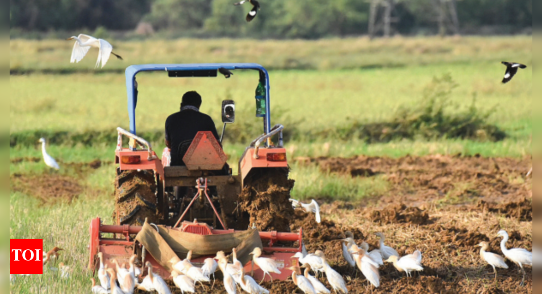 In goa, climate change is now real | Goa News - Times of India