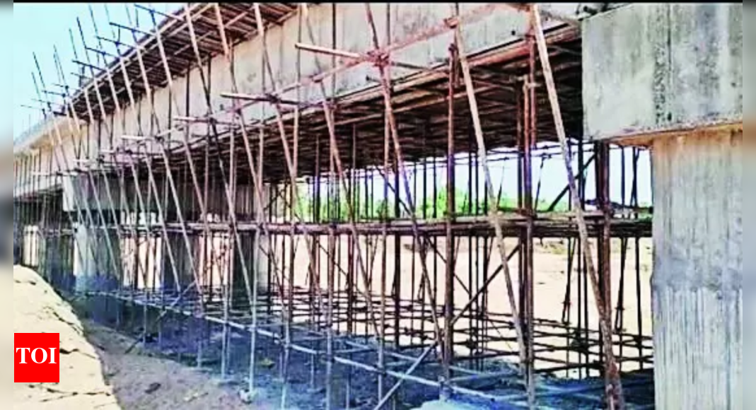 Chatra: No Bridge In This Chatra Village Since Independence | Ranchi ...