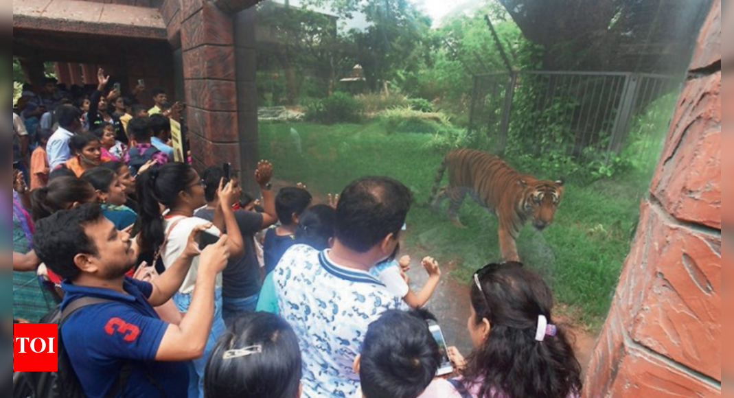 At 4.5 lakh, Byculla zoo breaks visitor footfall record in May | Mumbai ...