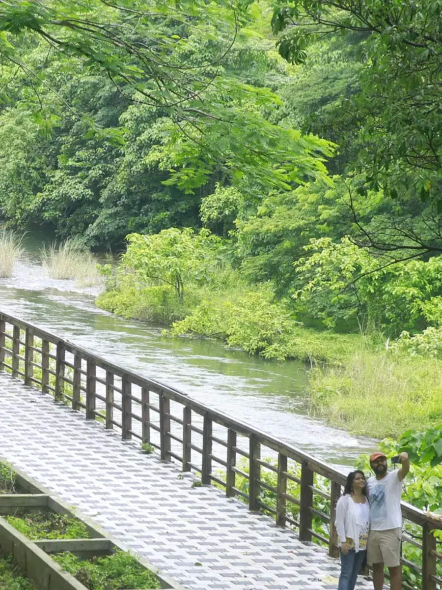 THENMALA: KERALA'S 'HONEY HILL' A.K.A INDIA'S FIRST PLANNED ECO-TOURISM ...