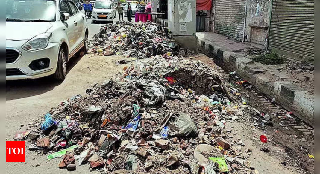 LMC told to find Eco Green's replacement | Lucknow News - Times of India