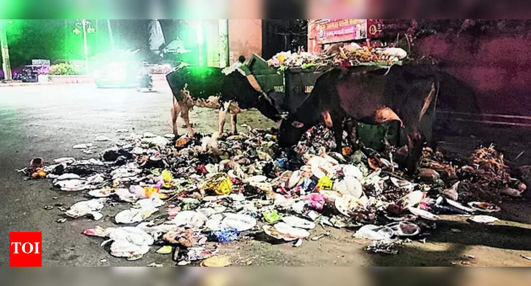 Waste Collection Hit As Jmc Garage Workers Strike Work | Jaipur News ...