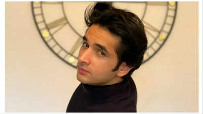 OTT actor Syed Raza Ahmed is set to enter the TV show Meet post leap ...