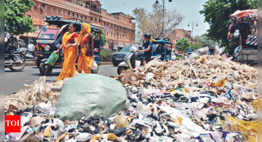 Over 600 additional litter bins to curb garbage dumping on city roads ...